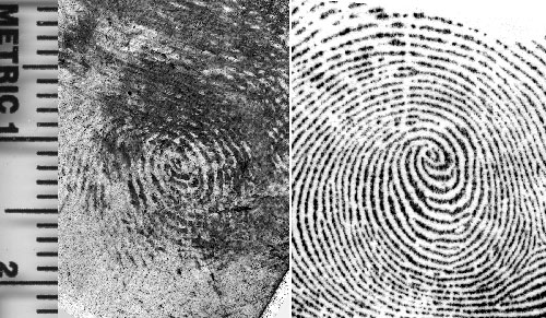 Quiz: Can you spot the matching fingerprints? | New Scientist