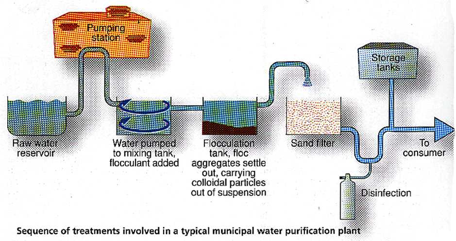 Waterborne diseases | New Scientist