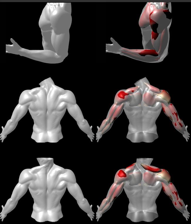 Muscle and bone bring animated characters to life | New Scientist