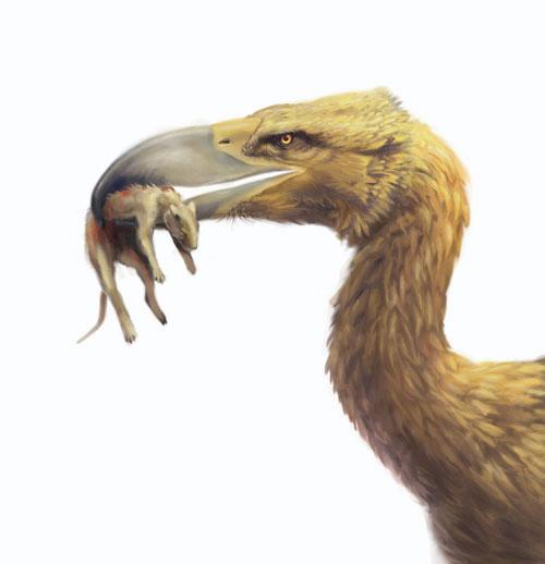 Giant 'terror bird' was light on its feet | New Scientist