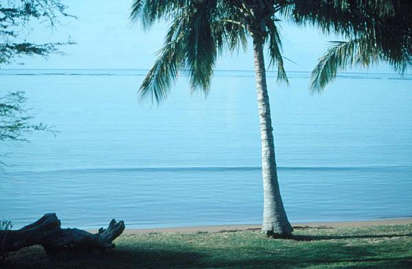 First unchanging 'soliton' wave found in space | New Scientist