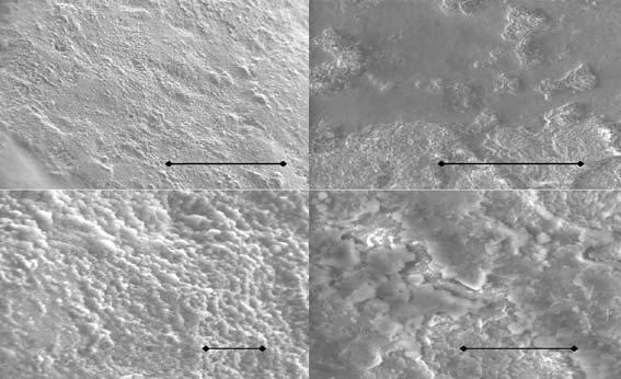Science of Mentos-Diet Coke explosions explained | New Scientist