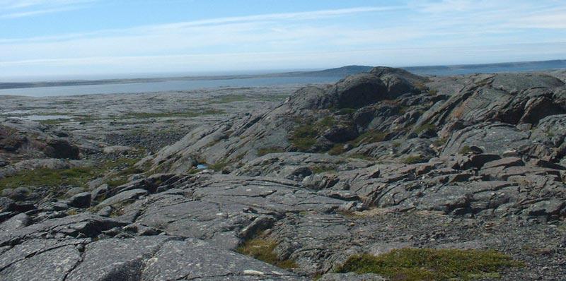 Discovery of world's oldest rocks challenged | New Scientist