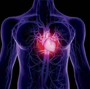 Chemical drink breathes life into damaged hearts | New Scientist