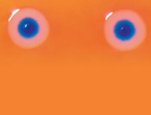 Immaculate creation: birth of the first synthetic cell | New Scientist