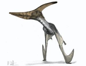 Did giant pterosaurs vault aloft like vampire bats? | New Scientist