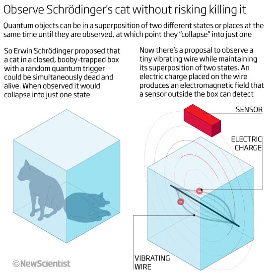 Quantum probes that won't kill Schrödinger's cat | New Scientist