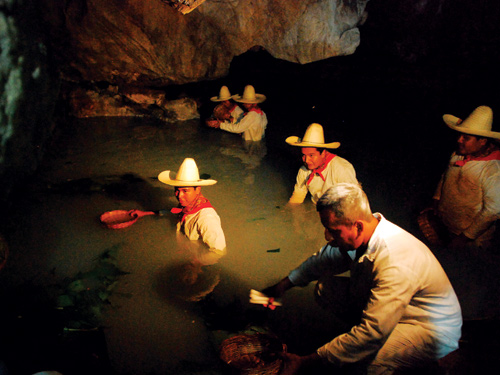 Unnatural selection: How humans are driving evolution | New Scientist