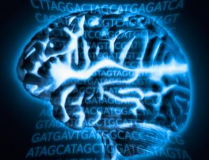 Best evidence yet that a single gene can affect IQ | New Scientist