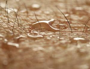 Blood, sweat and no tears: sweat glands help repair skin | New Scientist