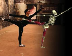 Dancing ballerina skeleton pinpoints injury hotspots | New Scientist