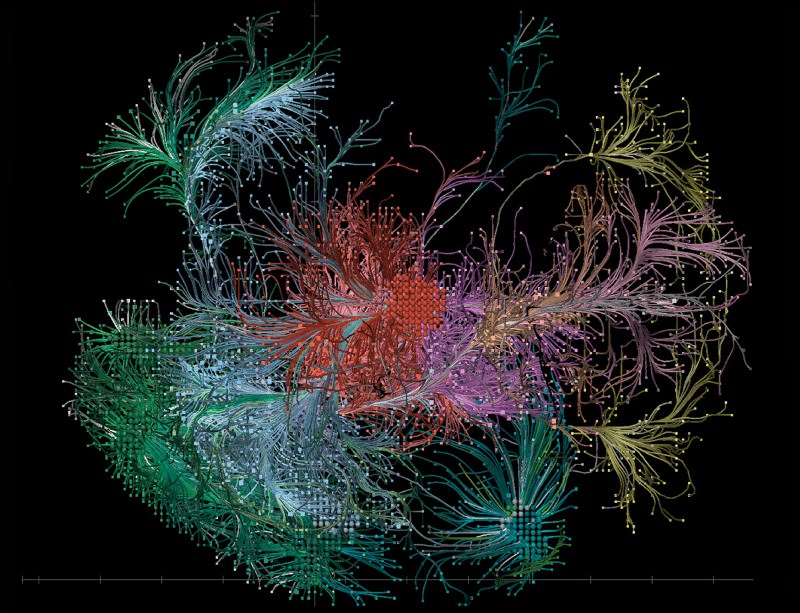 First in-depth mammal brain map to reveal neural blips | New Scientist