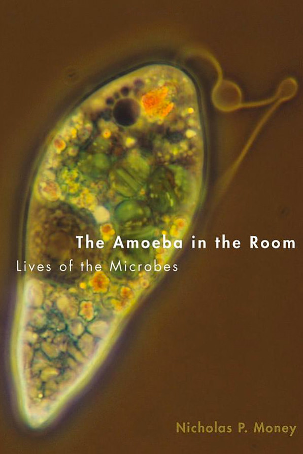 The coolest biology is under the microscope | New Scientist