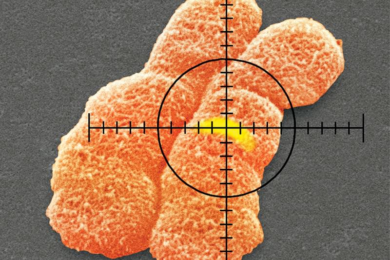 Human gene editing has arrived – here's why it matters | New Scientist