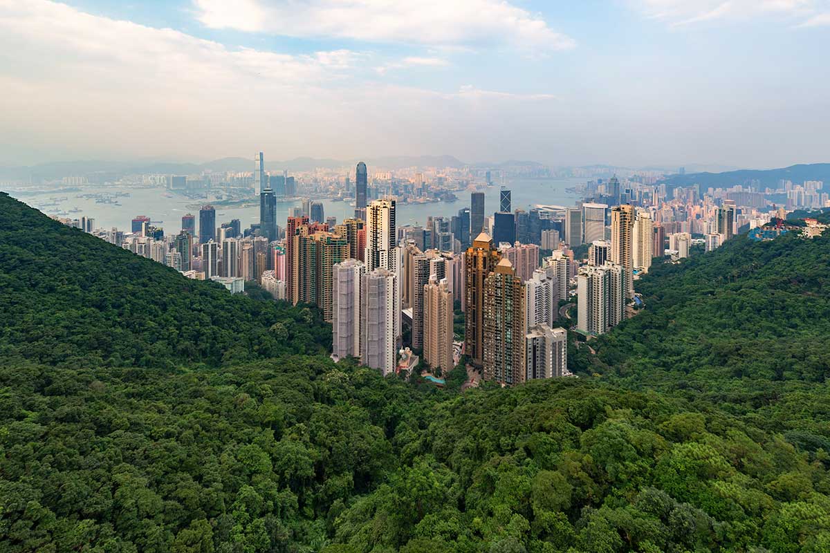 Nature's fair share? Behind the call to hand back half of Earth | New ...