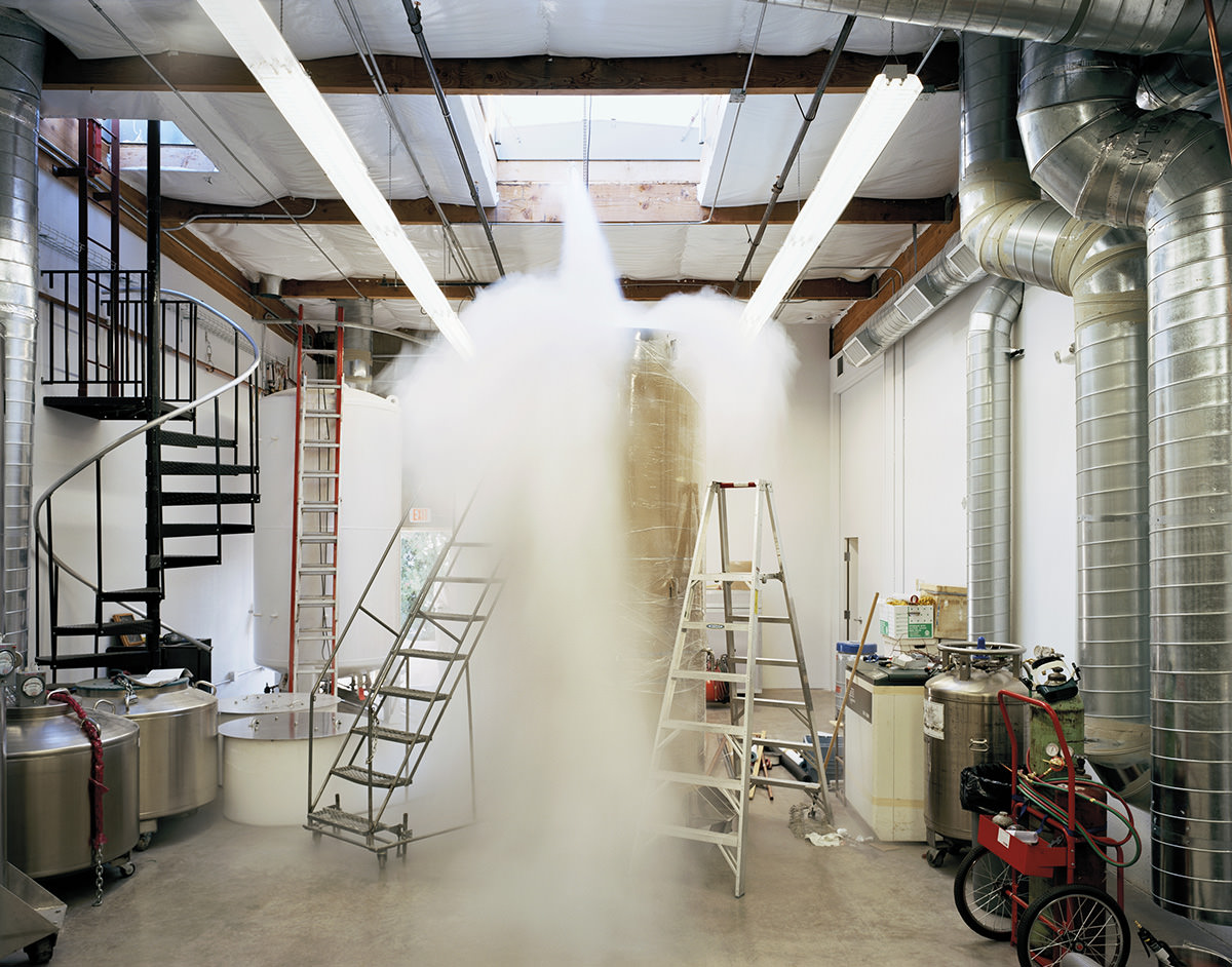 A visual tour of the weird world of the cryogenically frozen | New ...