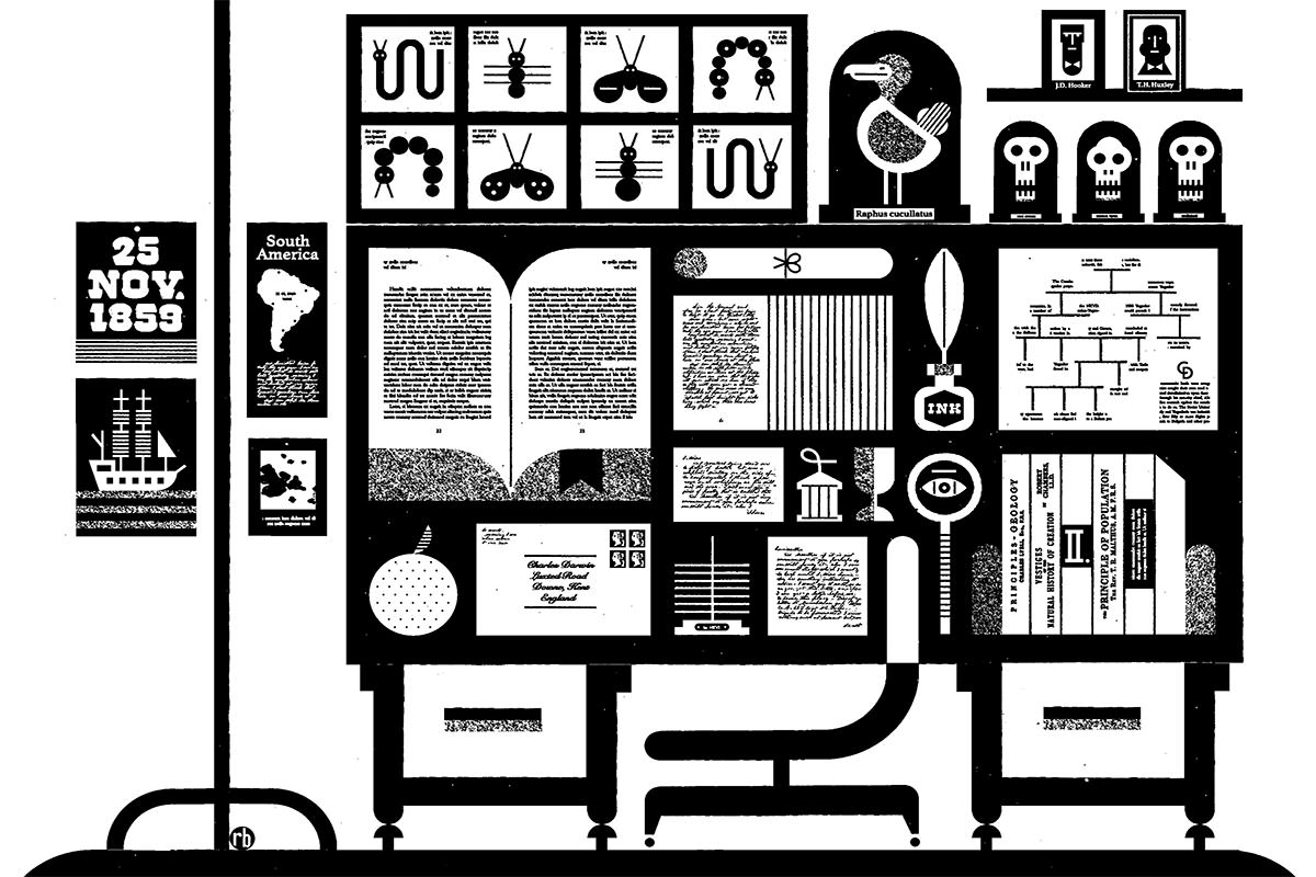 Darwin's discovery: The remarkable history of evolution | New Scientist