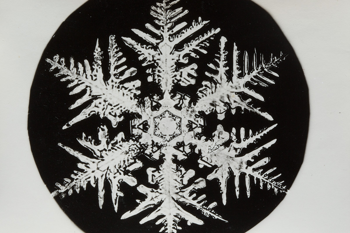 The pioneering snowflake photographs of a young obsessive | New Scientist