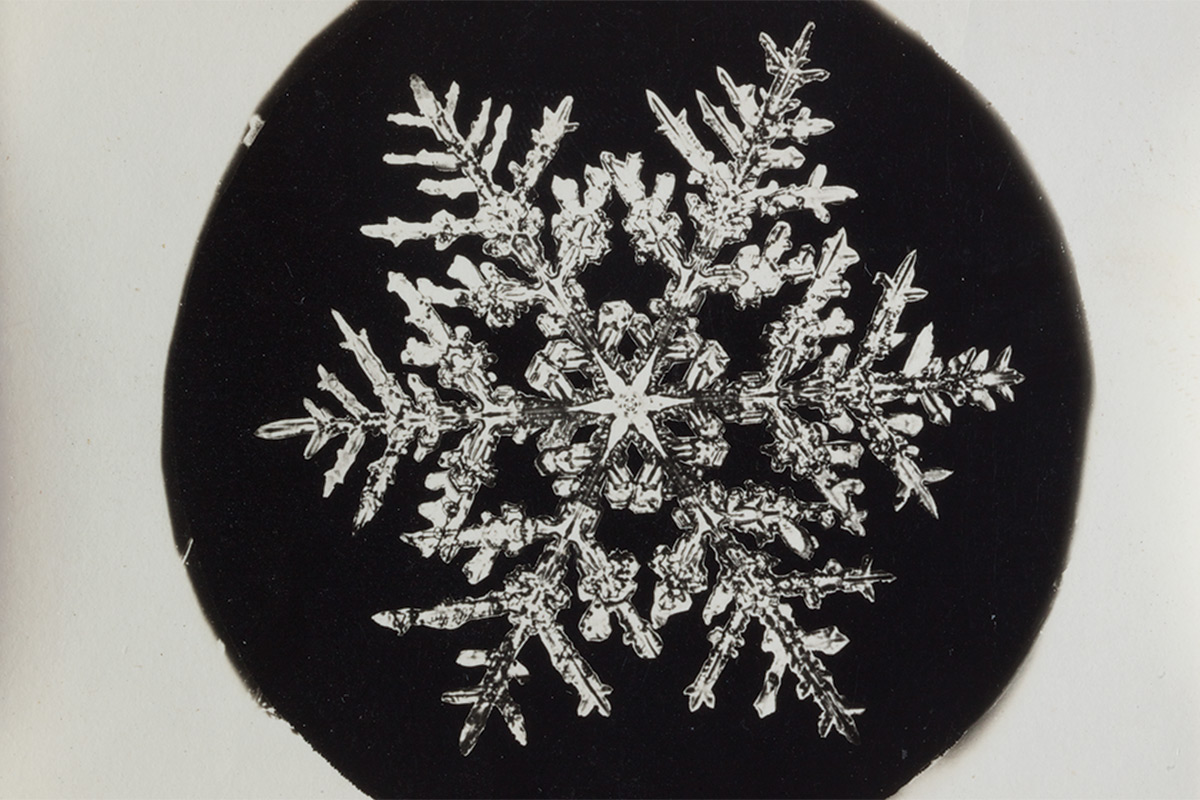 The pioneering snowflake photographs of a young obsessive | New Scientist