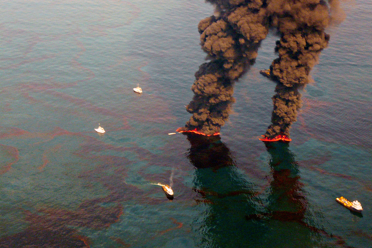 Sponge Can Soak Up And Release Spilled Oil Hundreds Of Times New Sponge Can Soak Up And Release Spilled Oil Hundreds Of Times New