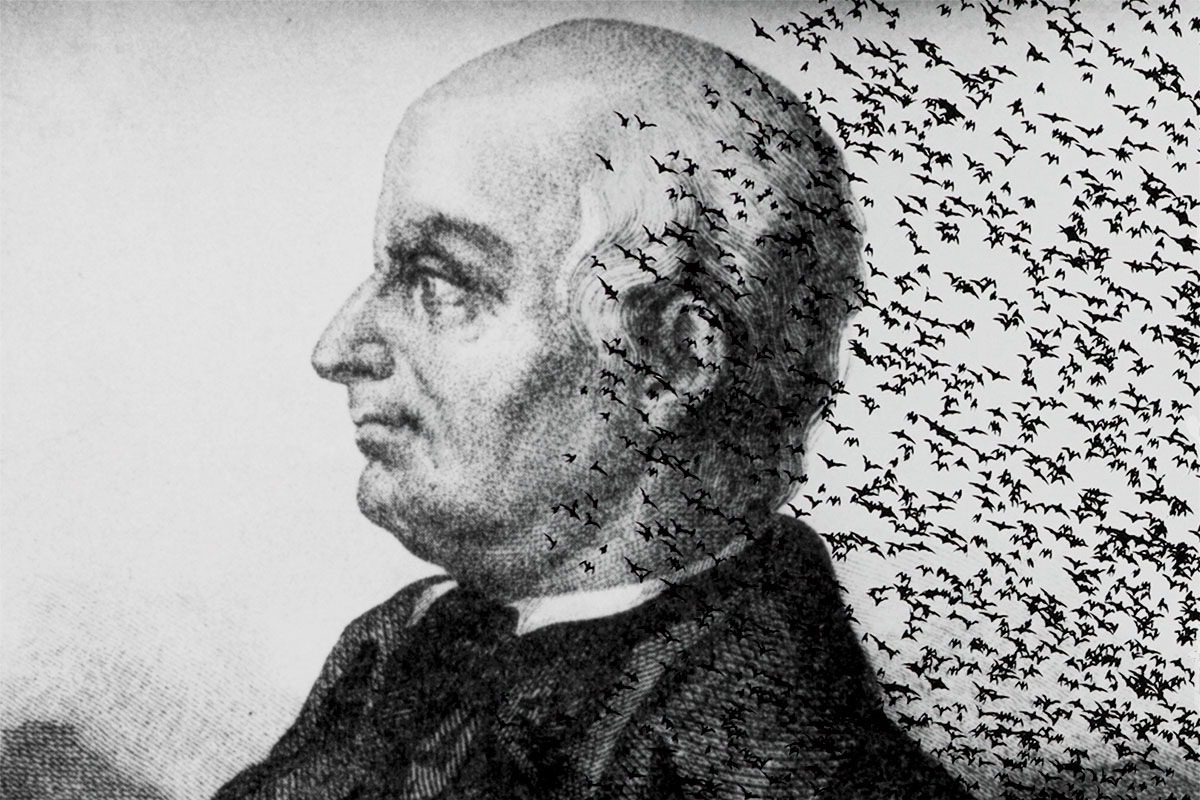 The ingenious priest who discovered how bats 'see' in the dark | New ...