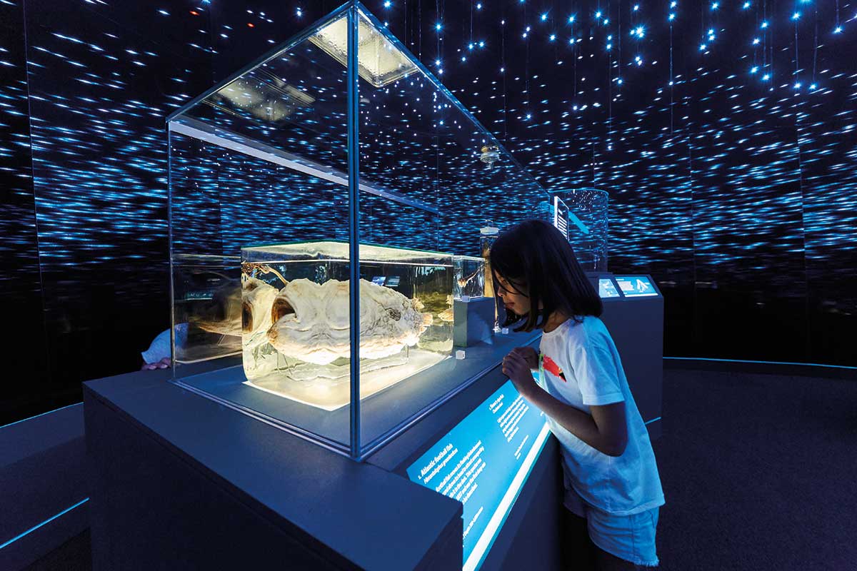 Explore nature’s dark side with the Natural History Museum | New Scientist