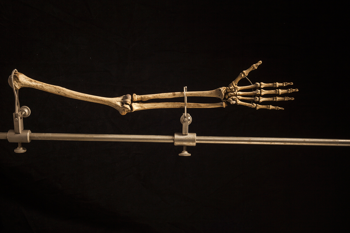 Neanderthals had dexterous hands that could have held tools like a pen ...